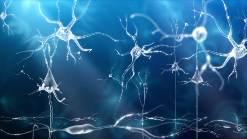 Neuronal Activity Zoom Blue Conceptual Animation Showing Neuronal ...