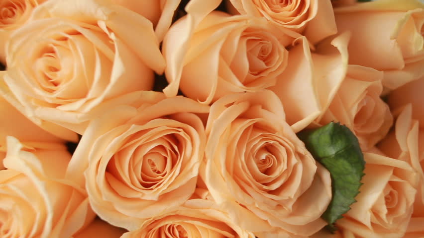 Stock video of gentle big bouquet of peach roses, | 23842864 | Shutterstock