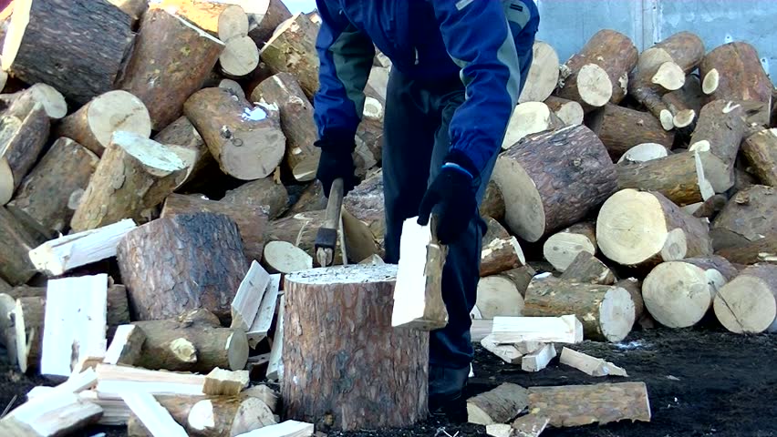 A Man Cuts Wood Logs With An Ax. Felling Of Trees. A Pile Of Sawn ...