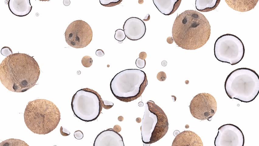 Stock video of coconuts falling down on white background | 2555684 ...