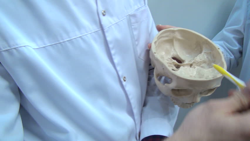 Human Skull Rotating Vidéos de stock (100 % libres de droit) 25714694 ...
