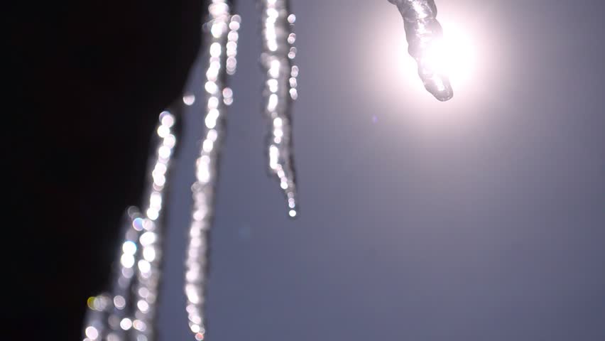 Dripping Icicles, Melting Icicles, Icicle Hanging From Roof, Spring ... Dripping Icicles, Melting Icicles, Icicle Hanging From Roof, Spring ...
