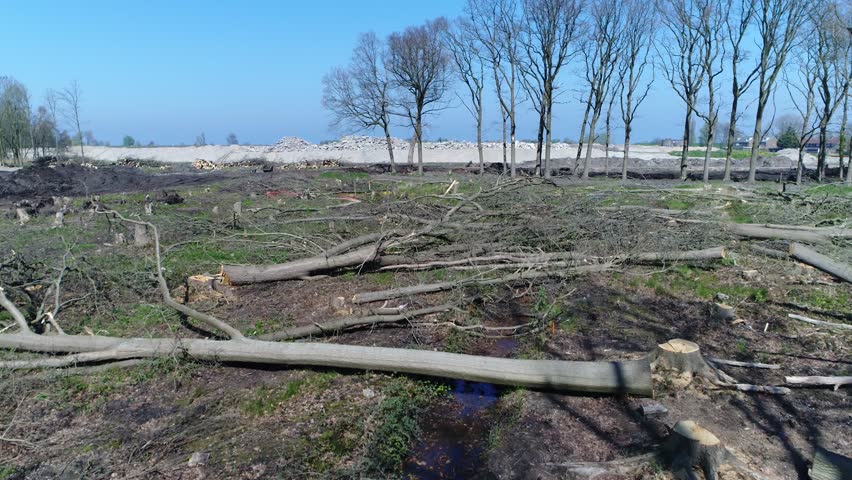 Aerial Top Down View Flying Forwards Over Destroyed Cut Forest Showing ...