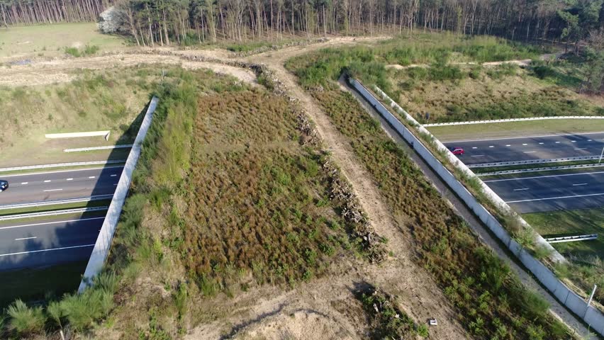 Animal Crossing Bridge Stock Video Footage - 4K and HD Video Clips ...