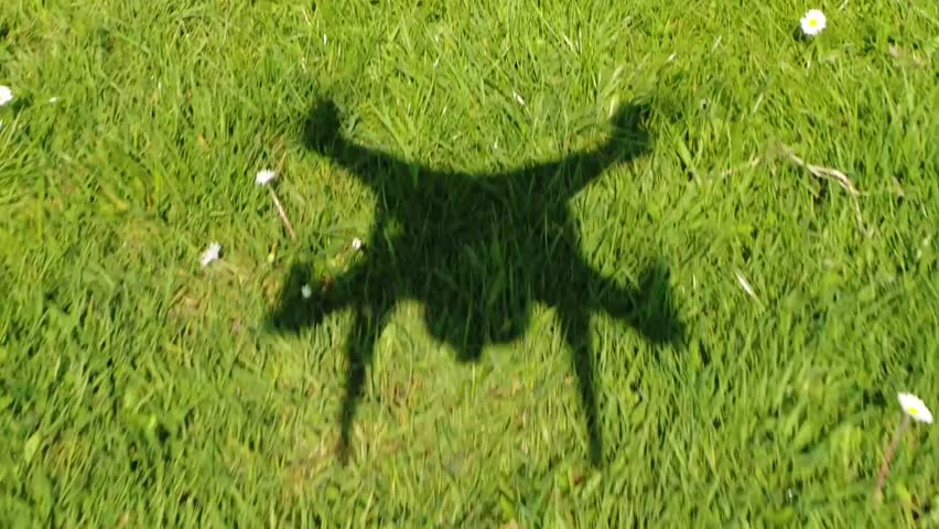 Aerial Flying Low Altitude Over Meadow Grass Field With White Flowers ...