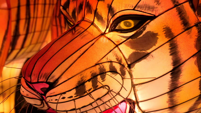Stock video of chinese lanterns of two beautiful tigers | 2644844 ...