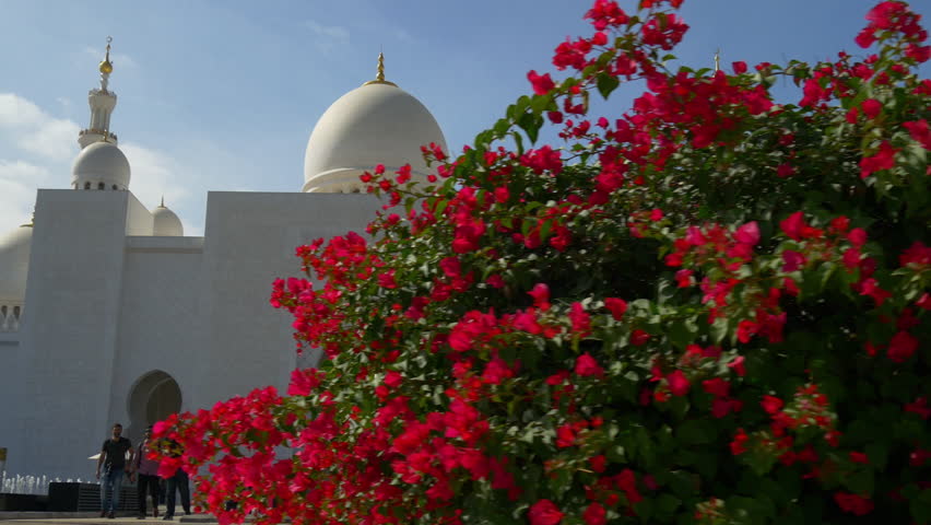 Camera Slides Past Red Roses In Volksgarten Vienna. The Dome Of The ...