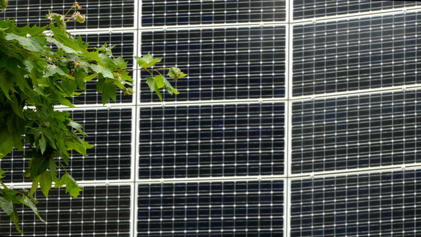 Solar Energy, Photosynthesis And Wind Concept Of Natural Energies ...