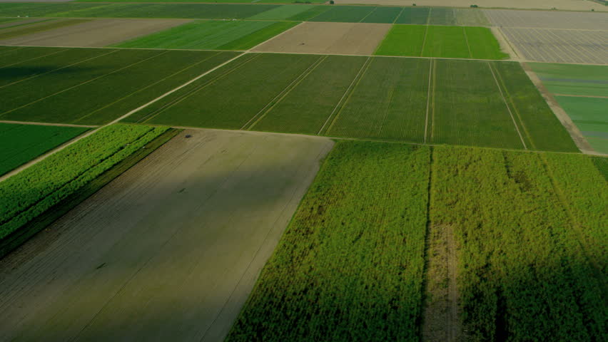 Aerial View Agricultural Farming Land Growing Fruit And Vegetable Crops ...