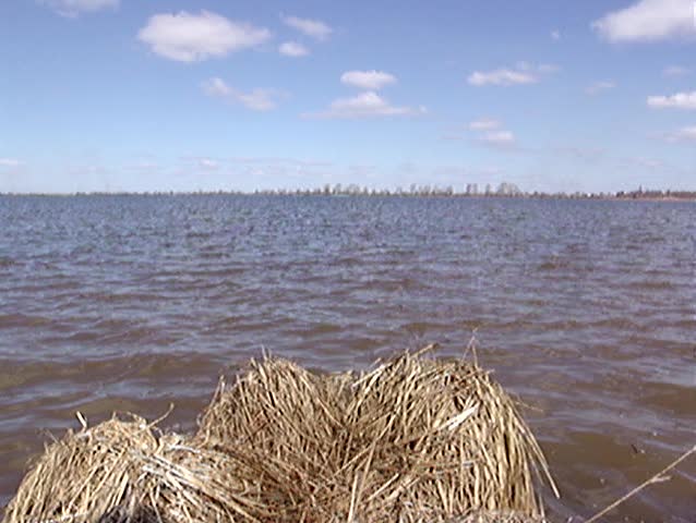 Haystacks at the River Stock Footage Video (100% Royalty-free) 2954 ...