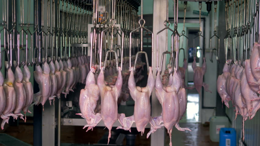 An Industrial Carousel Full of Stock Footage Video (100% Royalty-free ...