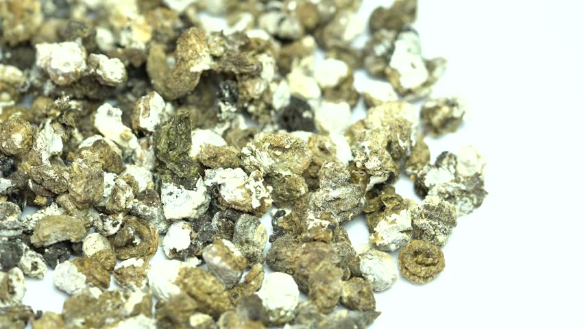 Bird poop Stock Video Footage - 4K and HD Video Clips | Shutterstock