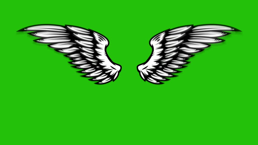 Stock Video Clip of Animation of flying wings on green background ...