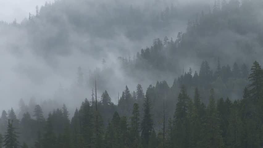 Haunting, Spectral Mists Move Fluidly Stock Footage Video (100% Royalty ...