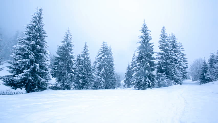 Beautiful Winter Landscape Stock Footage Video 31954117 | Shutterstock