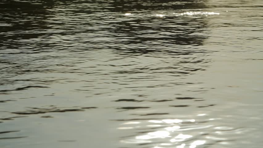 River Water Surface. Close-up of Stockvideos & Filmmaterial (100 % ...