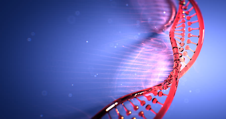 Dna Strand Structure Seamless Loopable Animation 4k Uhd. Genetic DNA ...
