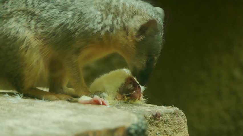 Countryside landscape in Madagascar image - Free stock photo - Public ...