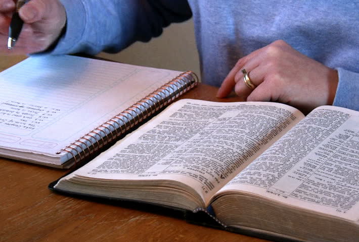 A Young Man Sitting In A Chair Reading From The Holy Bible. Green ...