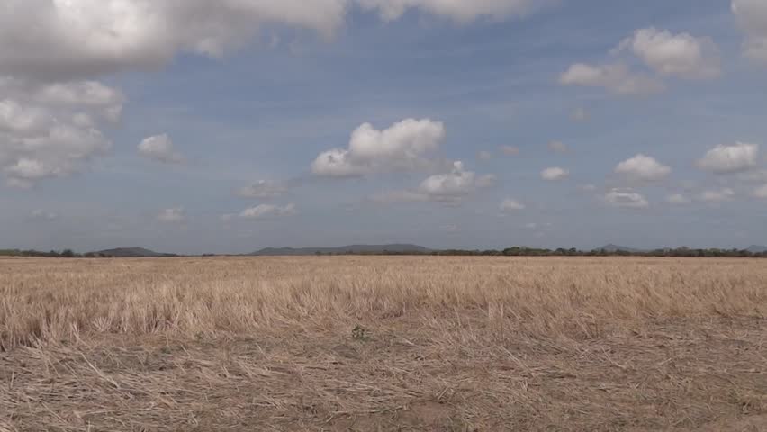 Beautiful Empty Prairie Land with Stock Footage Video (100% Royalty ...