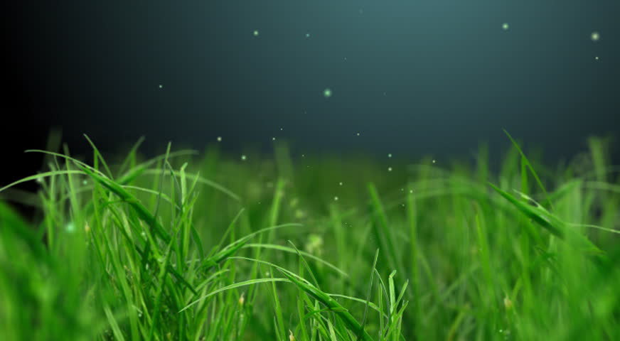 Fairy Tale Grass Stock Footage Video (100% Royalty-free) 400504 ...