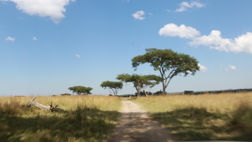 Harare Zimbabwe Landscape Stock Footage Video (100% Royalty-free ...