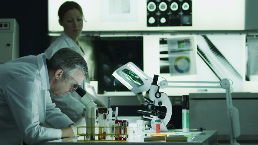 3D Images CG Touch Screen Digital Technology Display Of Human Brain For ...