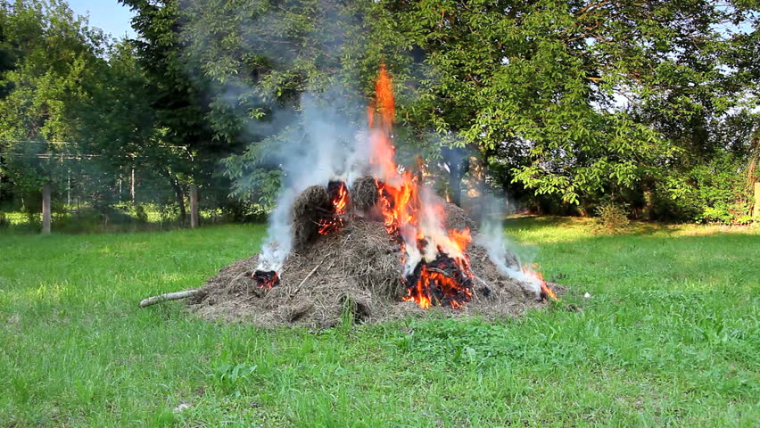 Big Burning Fire Flames Surrounded By Green Meadow Grass And Forest ...