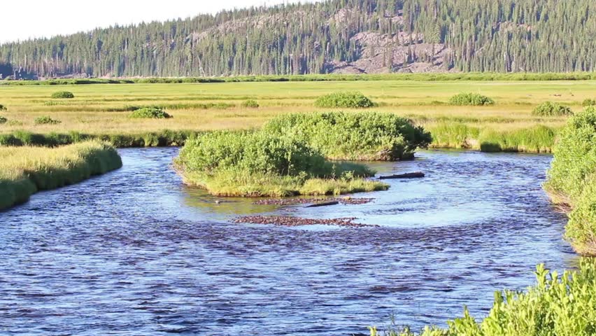 Blue Stream Flowing in to Stock Footage Video (100% Royalty-free ...