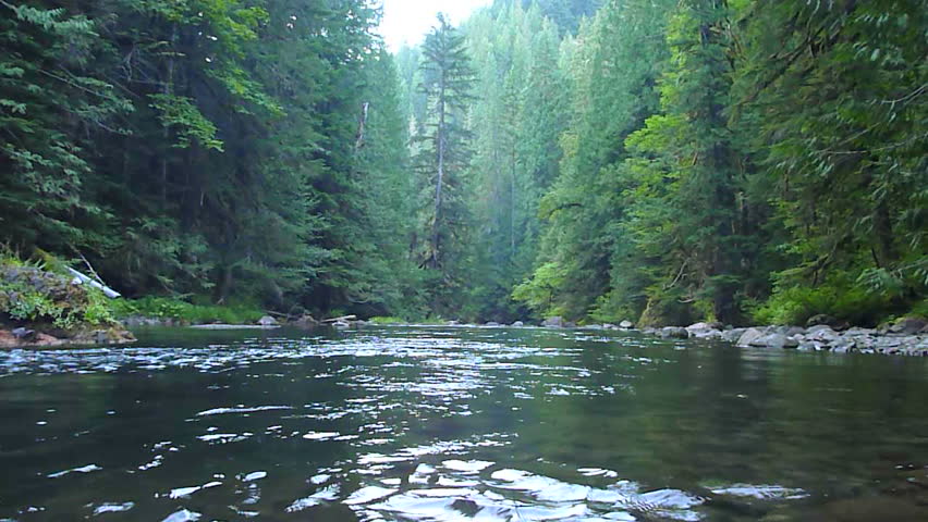 Stock video of lush wilderness river in oregon at | 4459064 | Shutterstock