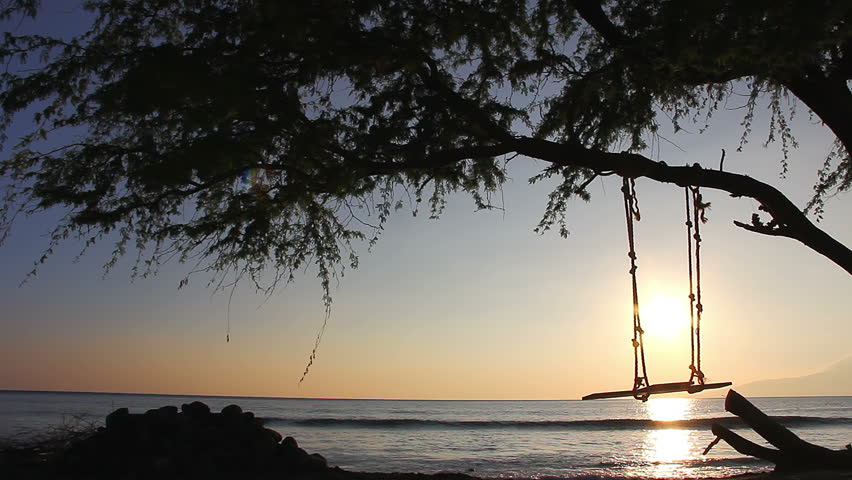 Stock video of a swing hangs from a tree | 4636964 | Shutterstock