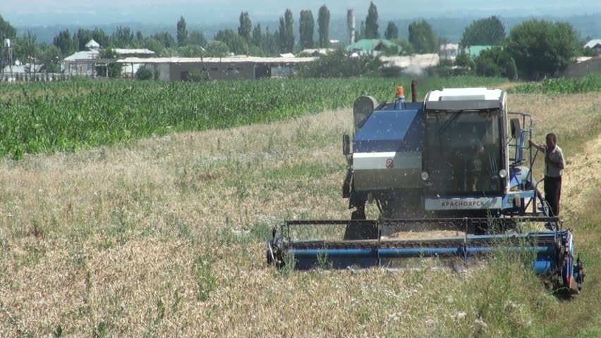 Farm Tractor Close Pulling A Cutter Harvesting Alfalfa Lucerne Hay For ...