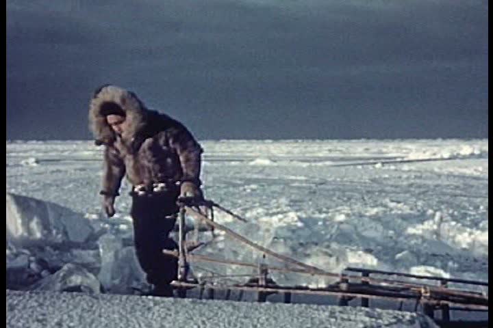 Stock Video Clip of 1950s - Eskimos take ice by dogsled | Shutterstock