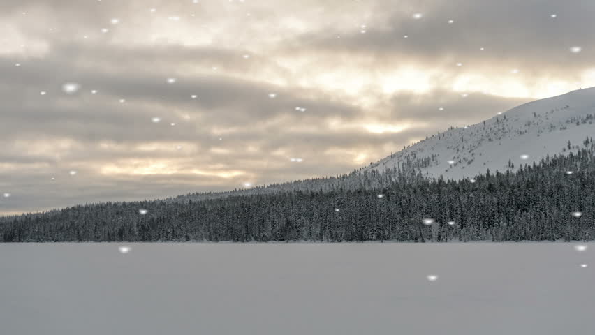 Desolate Beautiful Winter Landscape In A Snowfall Stock Footage Video ...