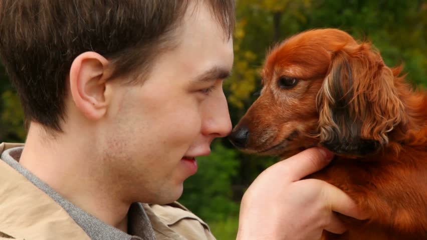 Stock Video Clip of men talking with dog | Shutterstock
