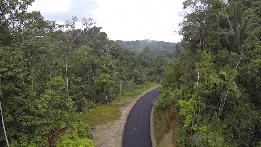 Aerial View Of A Road Running Through Primary Tropical Rainforest In ...