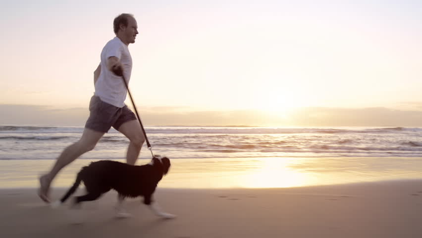 Happy Man Running Dog On Stock Footage Video (100% Royalty-free ...