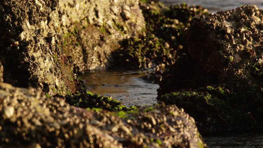 jagged rock texture image - Free stock photo - Public Domain photo ...