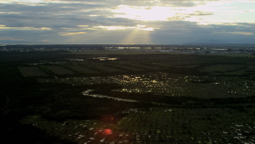 Aerial Above View North Delta Nature Reserve, Vancouver - Aerial Above ...
