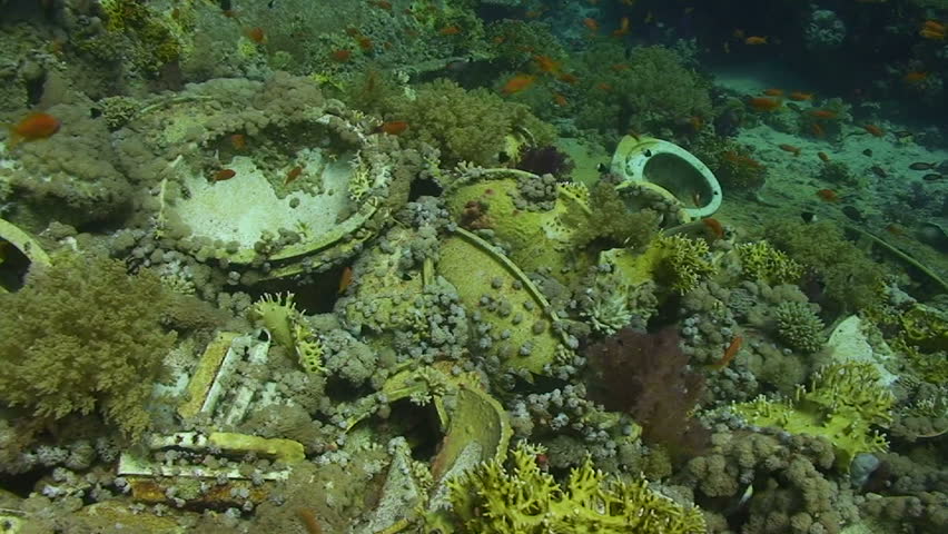 Wide Angle View Of The Mast Of The Shipwreck SS Numidia, Brothers ...