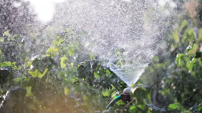 Stock video of artificial watering plants in garden | 7054654 ...