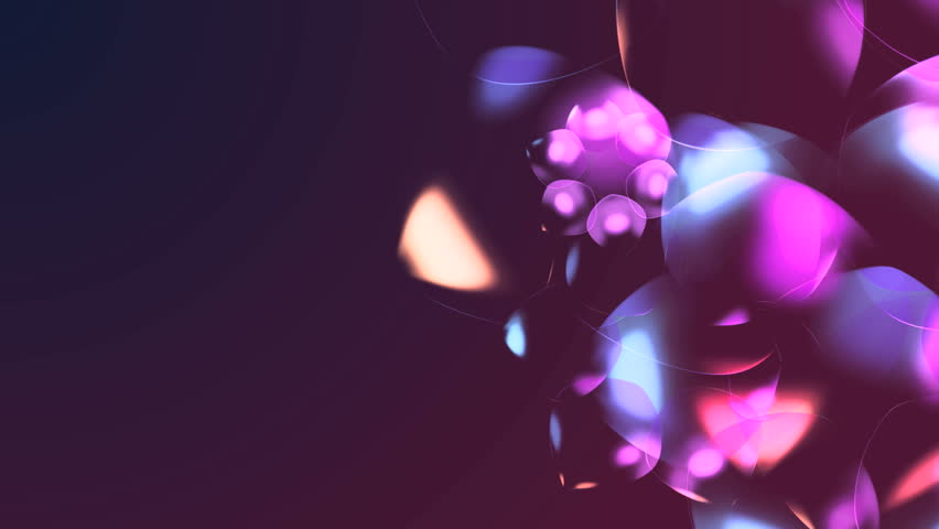 Stock video of purple flare petals | 7140094 | Shutterstock