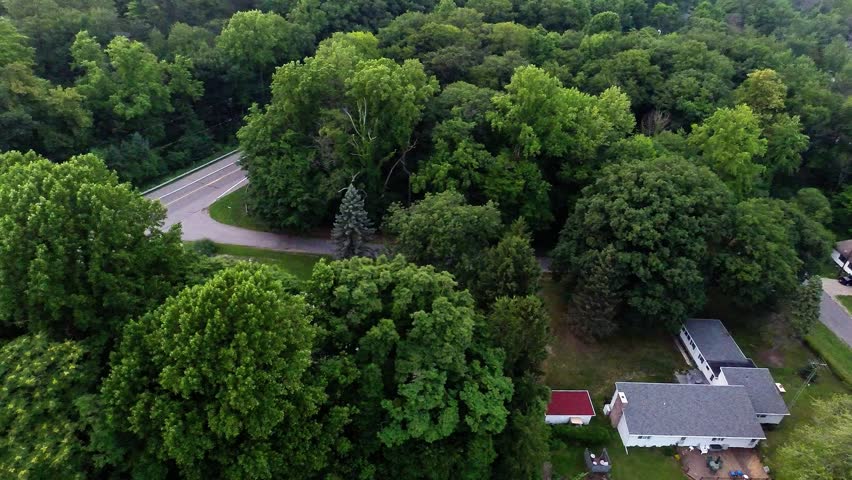 Aerial View Of Green Forest Trees At Michigan Vacation Resort - Forest ...