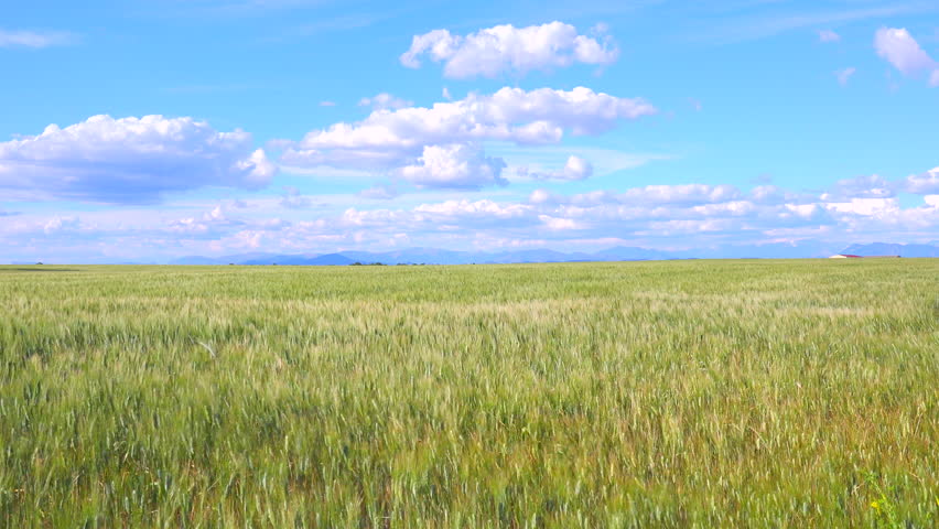 South Dakota Prairie Scenery Stock Footage Video 3176608 | Shutterstock