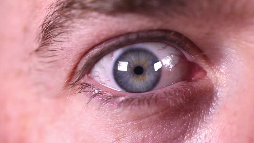 Intense Terrified Eye Close Up, Blue Male Eye, Scared, Angry Emotions ...