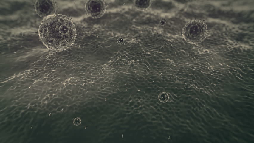 Stock video of lymphocytes, lymphocyte generates antibodies ...