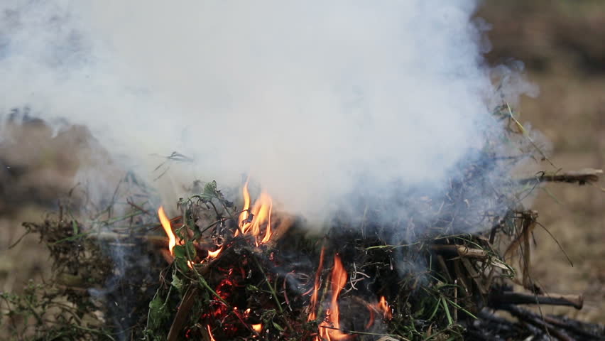 Stock video of burning fire flame and smoke | 8861464 | Shutterstock