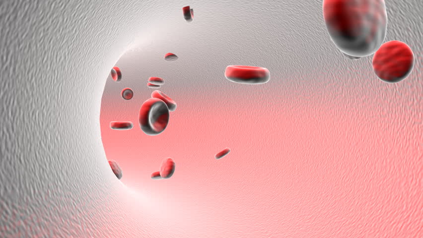 Animation of Blood Flowing Through Stock Footage Video (100% Royalty ...