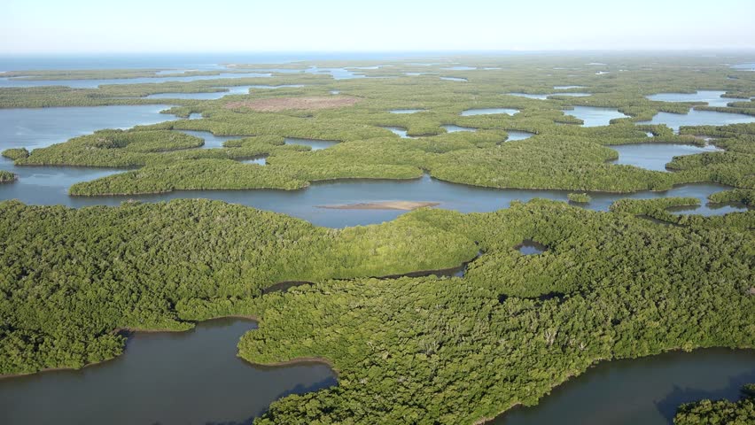Ten Thousand Islands, Everglades National Stock Footage Video (100% ...